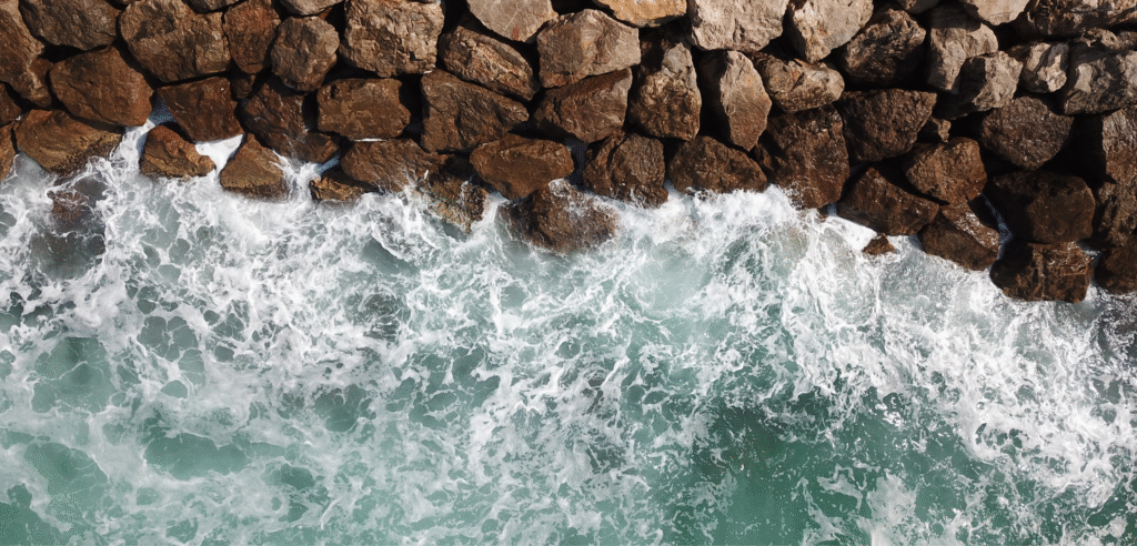 Webinar series: What 2025's learnings mean for 2026 - IML